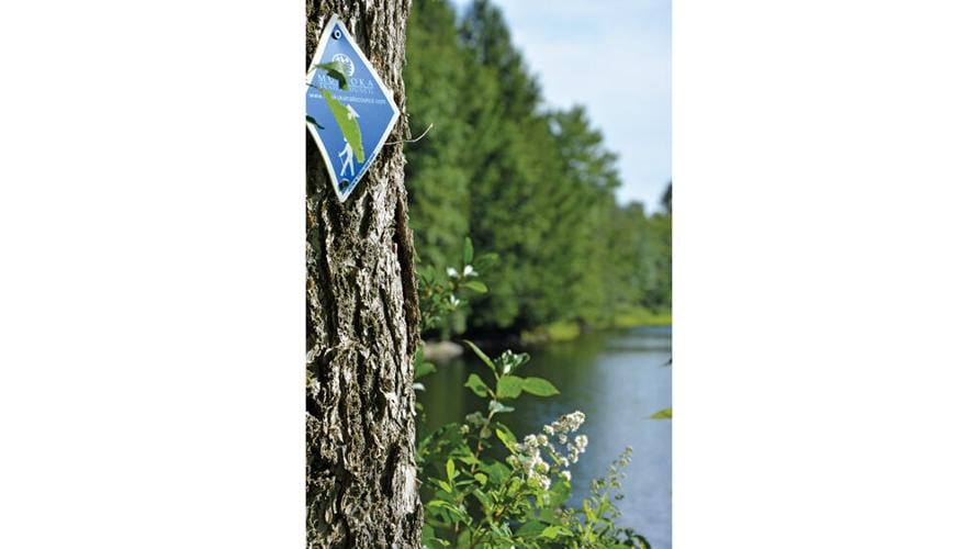 Wilson’s Falls, arguably the most picturesque of Bracebridge's many ...