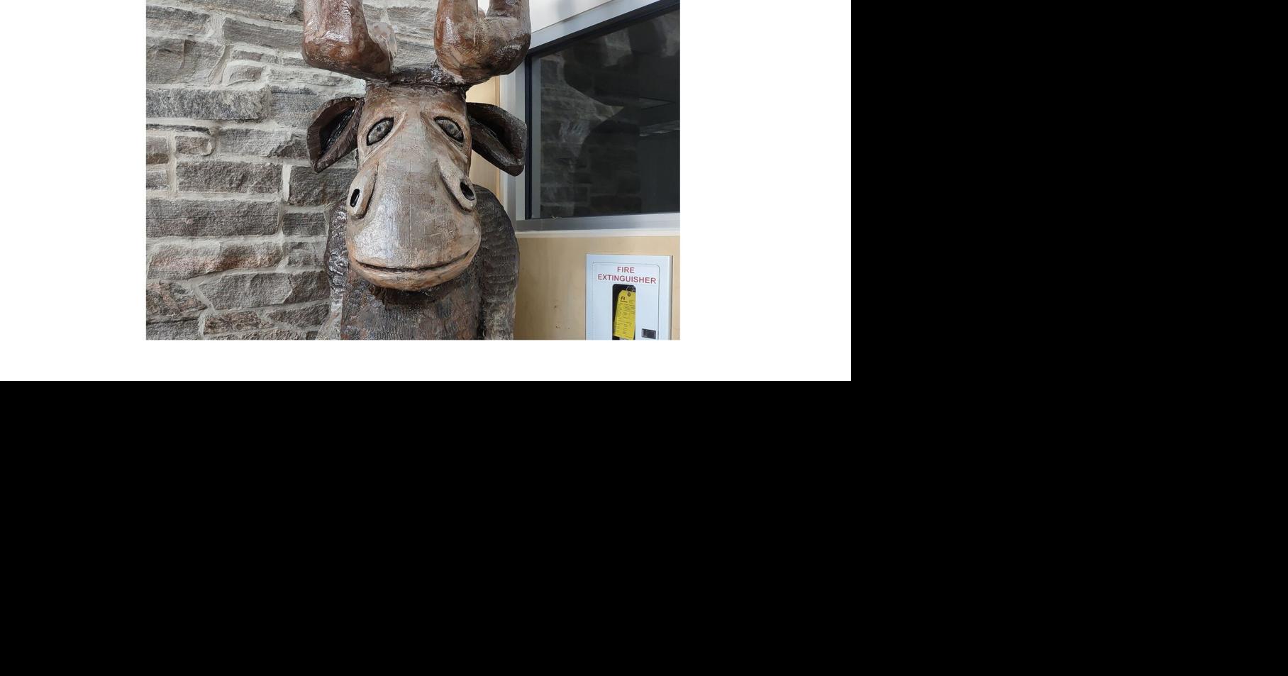 Chewy? Zeus the Muskoka Moose? Name that moose Gravenhurst