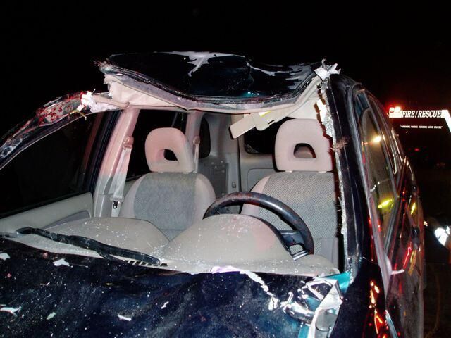 Woman hits moose, survives