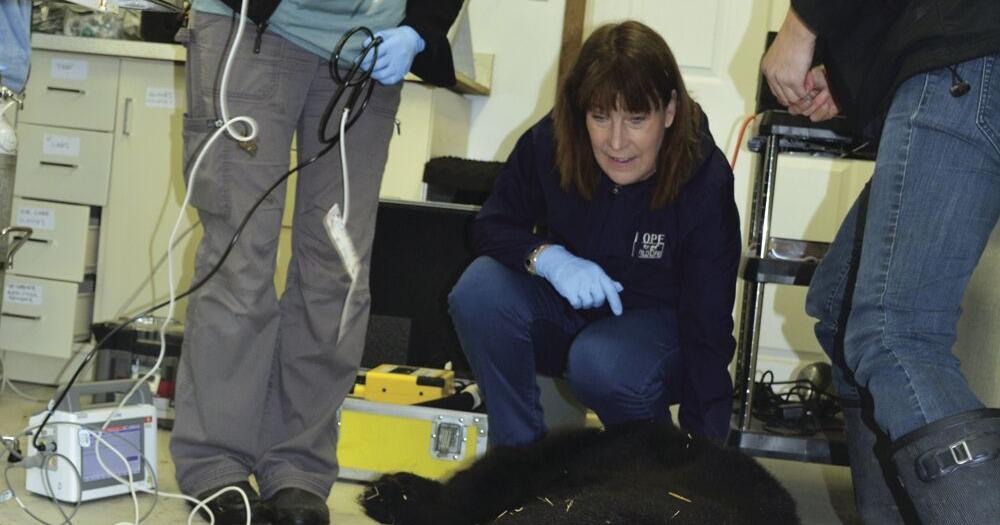 TV host and wildlife advocate Hope Swinimer visits Rosseau sanctuary