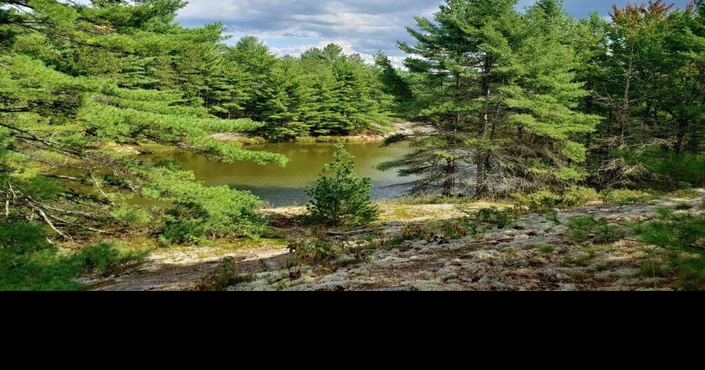 LIST: 10 trails to explore in Gravenhurst