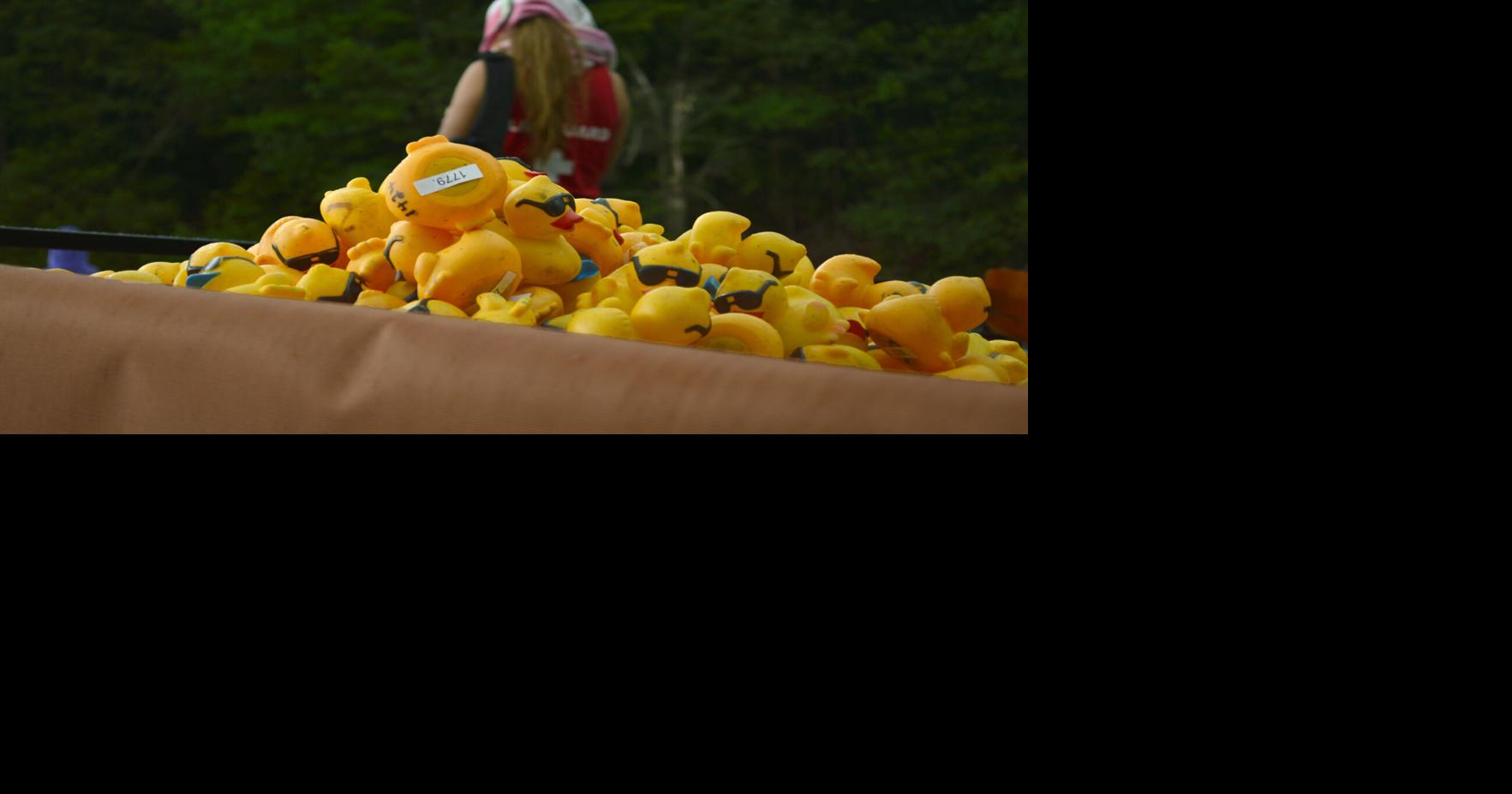 Setting free the ducks