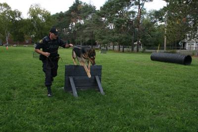 OPP celebrates 50th anniversary of its canine unit