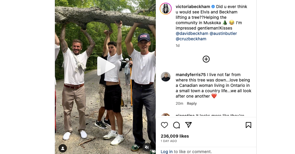 David Beckham and Elvis star lift tree in Muskoka road