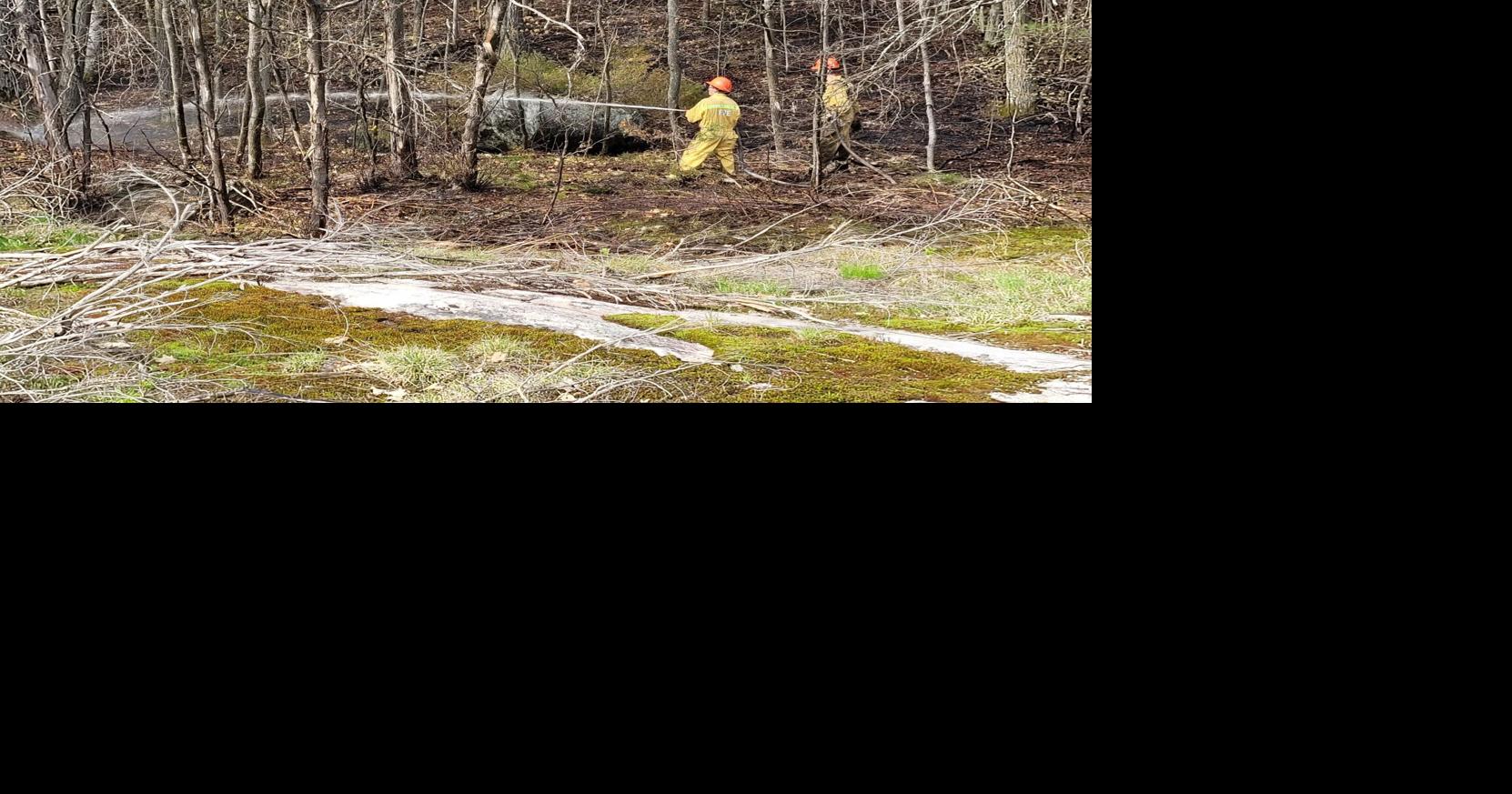 Brush fire in Gravenhurst alongside Highway 11 on May 10