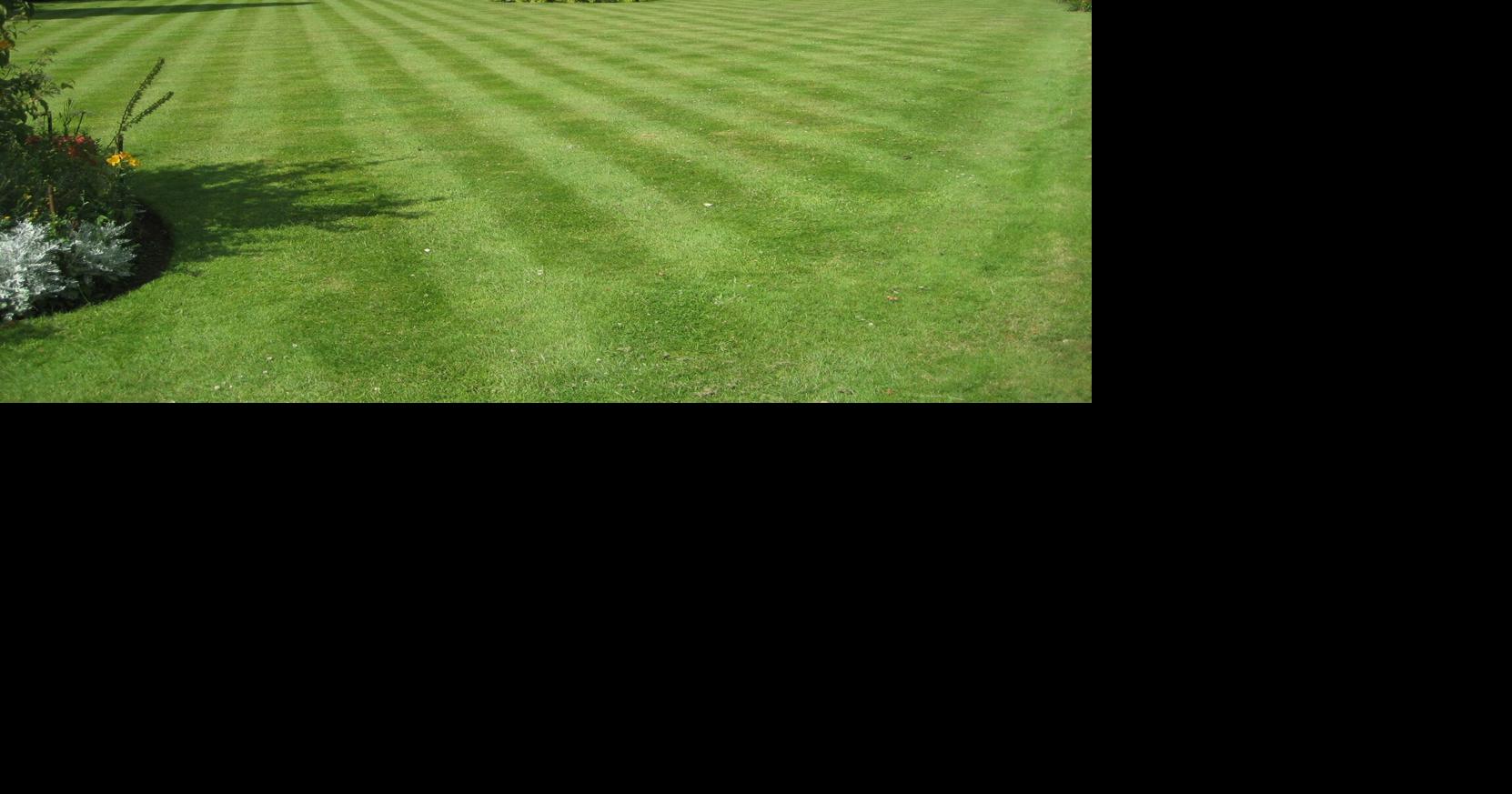 Now is the best time of year to put down grass seed for a Muskoka lawn