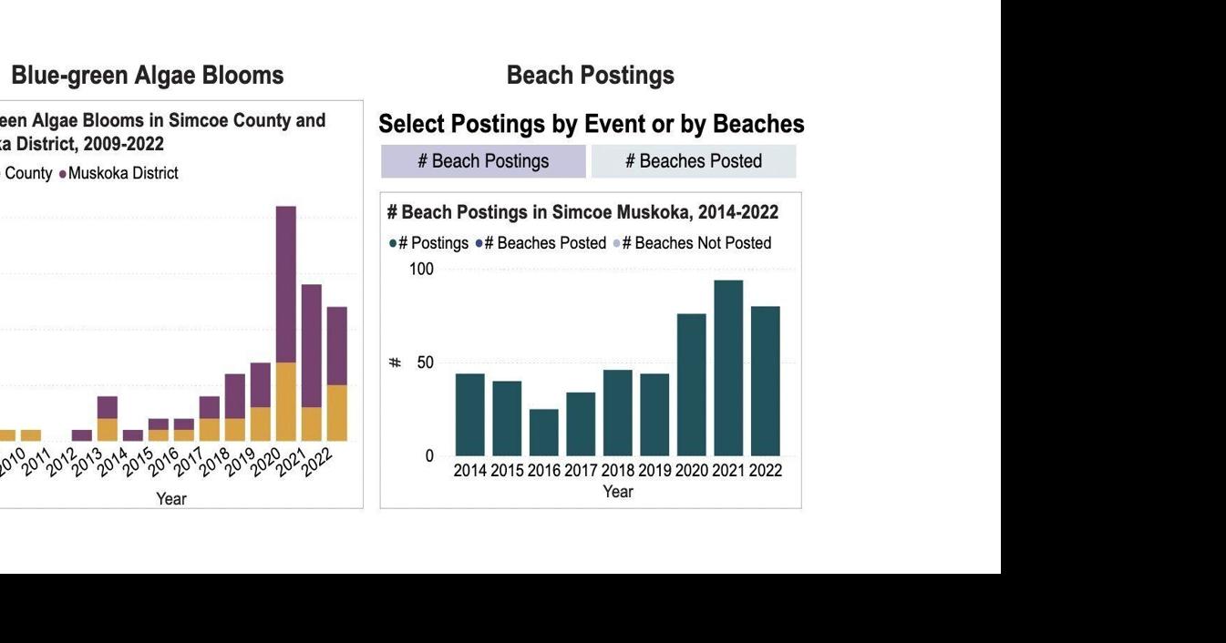 Updated HealthSTATS for Simcoe Muskoka now interactive