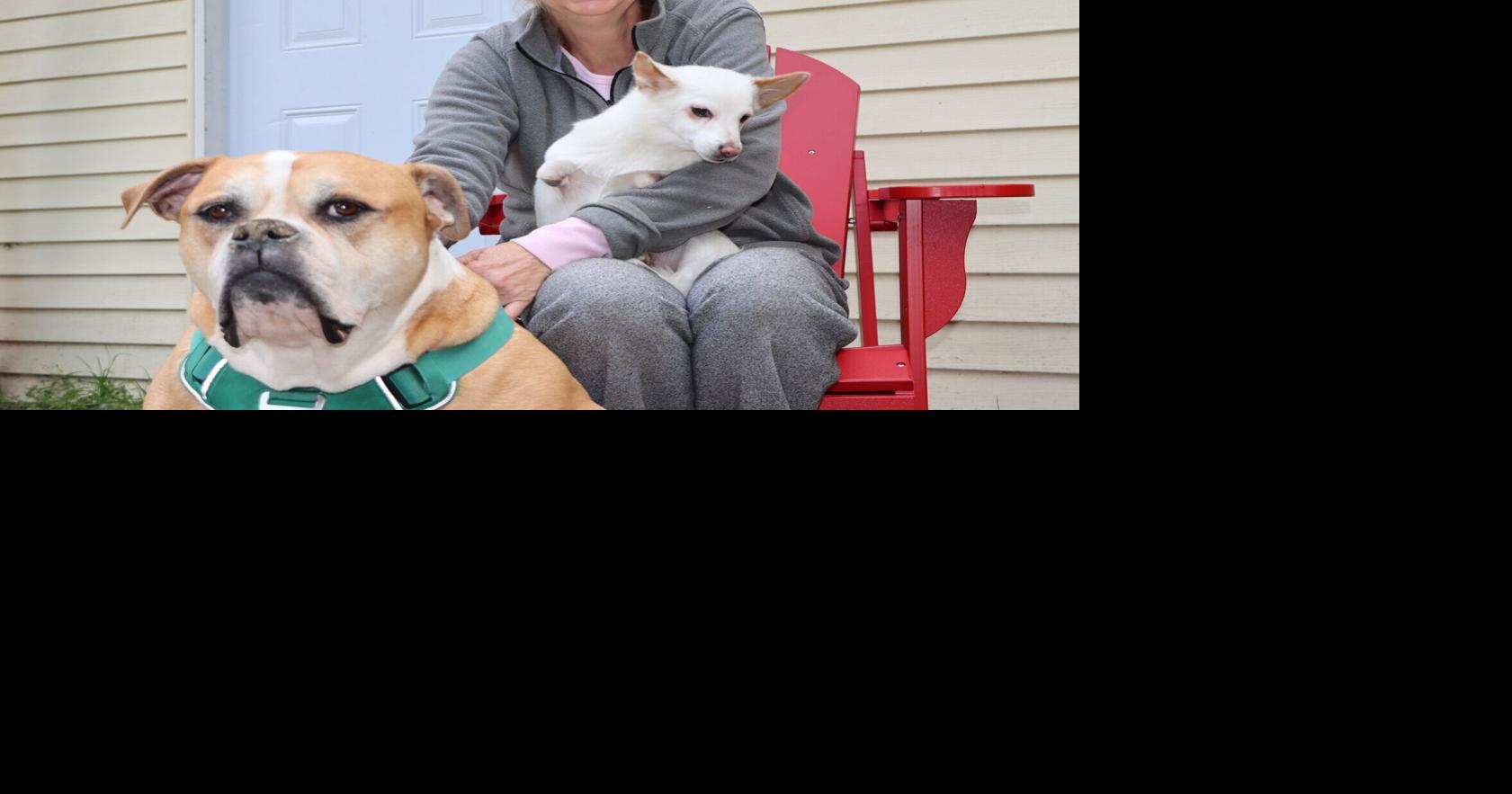 Muskoka animal shelter one of many ‘pushed to the brink’