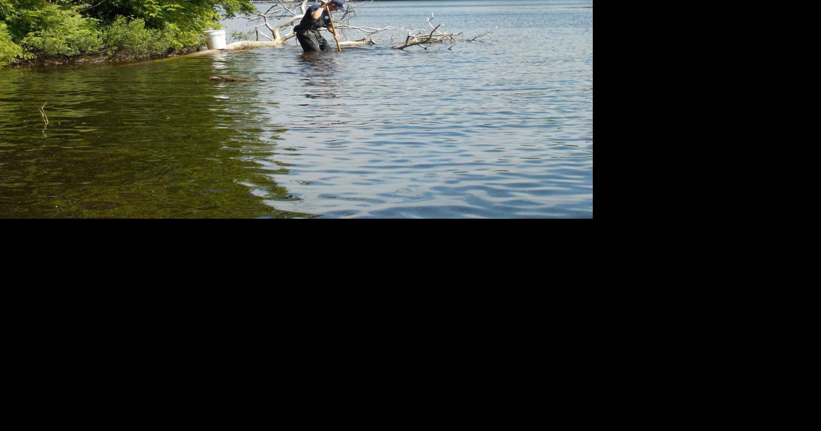 What do bugs in the waters of Muskoka’s watershed tell us?