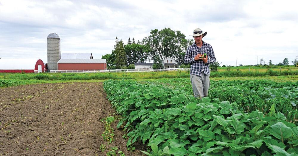 Rural renaissance — 5 Muskoka farms growing naturally delicious foods