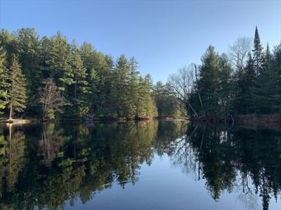 5 easy canoe, kayak or paddleboard routes in the Muskoka area