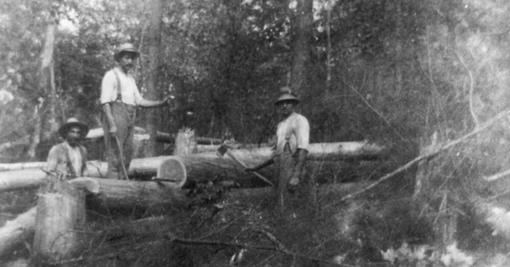 Muskoka's early settlers 'stumped' by the task of land clearing