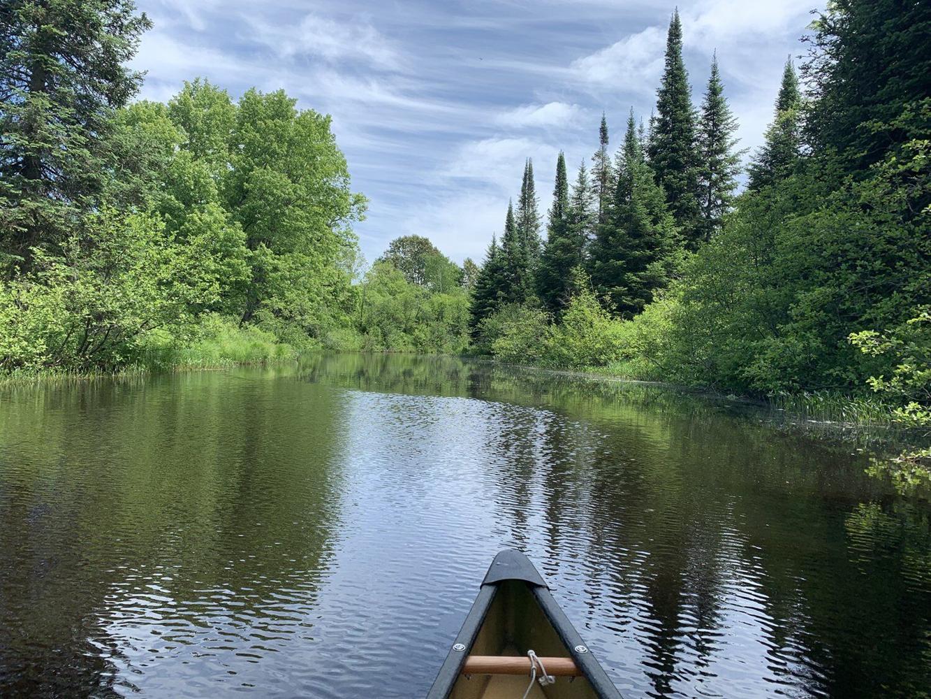 5 easy canoe, kayak or paddleboard routes in the Muskoka area