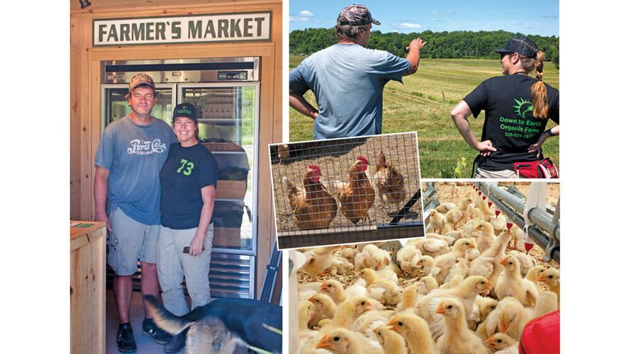 Rural renaissance — 5 Muskoka farms growing naturally delicious foods