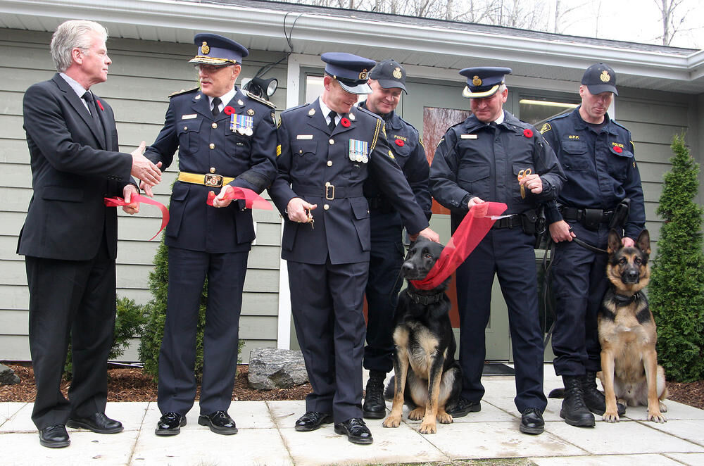 New digs for the dogs