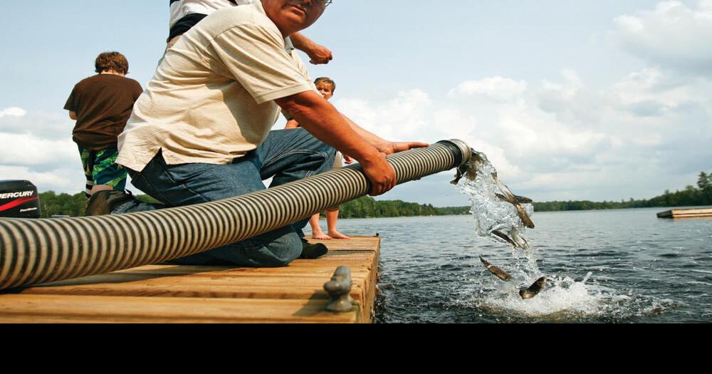 Reviving fishing activity in Whitestone