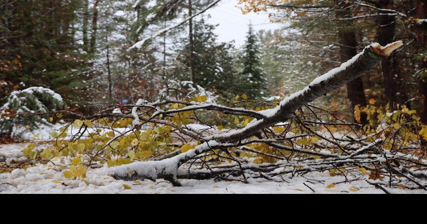 UPDATE: Power restored to parts of Bracebridge; heavy snowfall causes ...