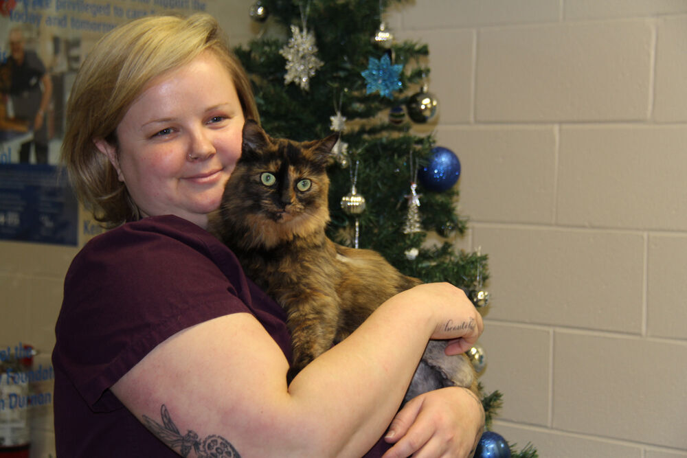 Community pulls through with Muskoka OSPCA appeal for three-legged Ceecee