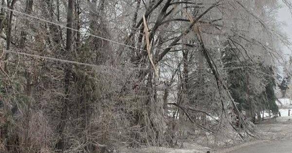 Thousands without power after storm in Parry Sound, Muskoka