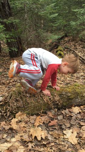 Muskoka Adventure Challenge family run fun June 23 in Bracebridge