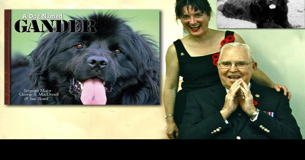 Dog Named Gander tells tale of unlikely hero