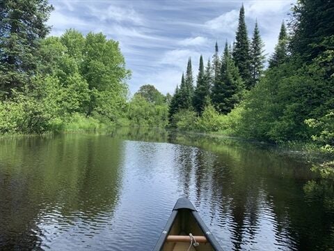 5 easy canoe, kayak or paddleboard routes in the Muskoka area