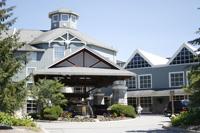 Ontario police warn of hazards of using four-way flashers