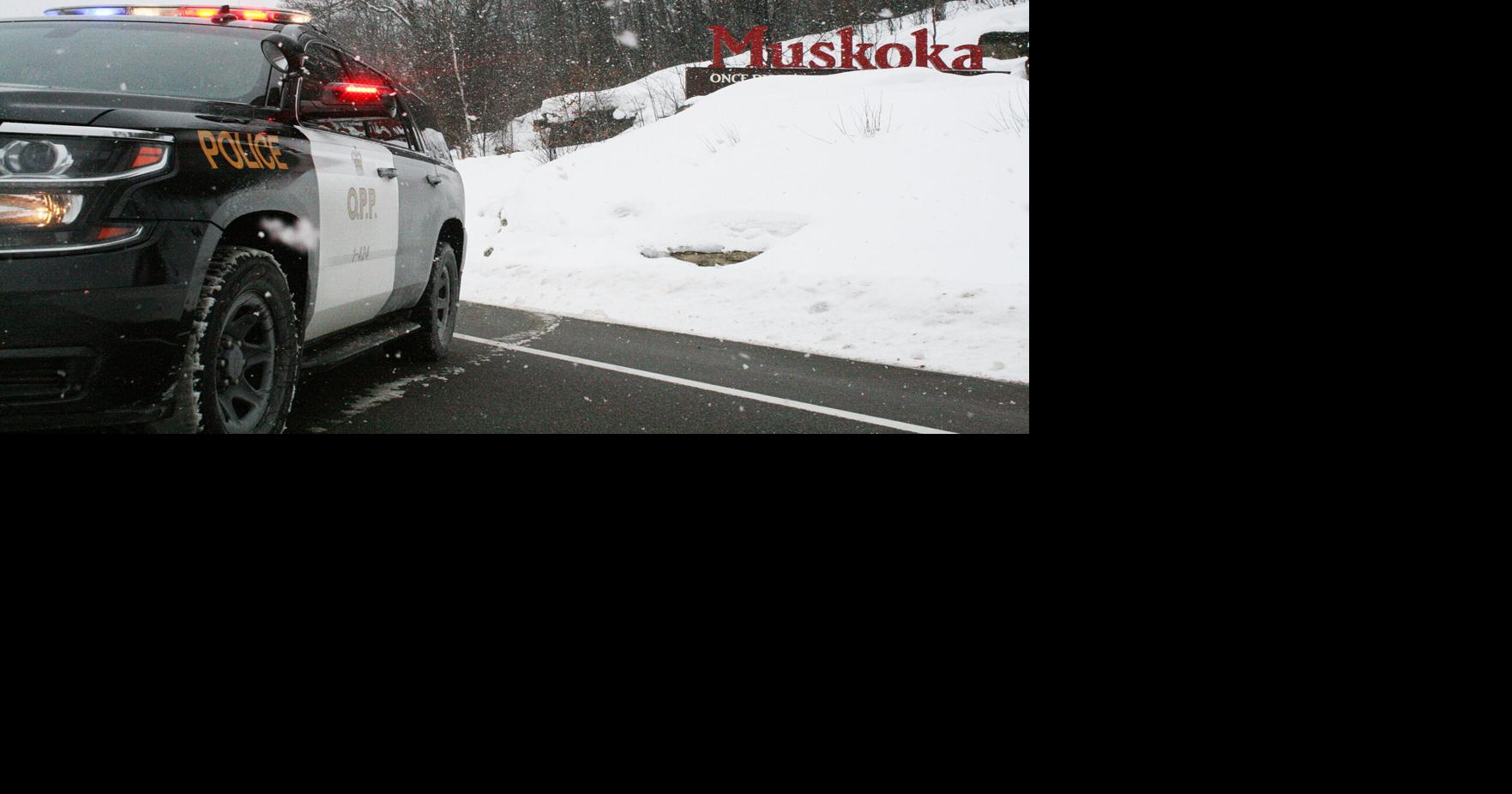 Bracebridge OPP arrest, charge men after pursuit, struggle following theft