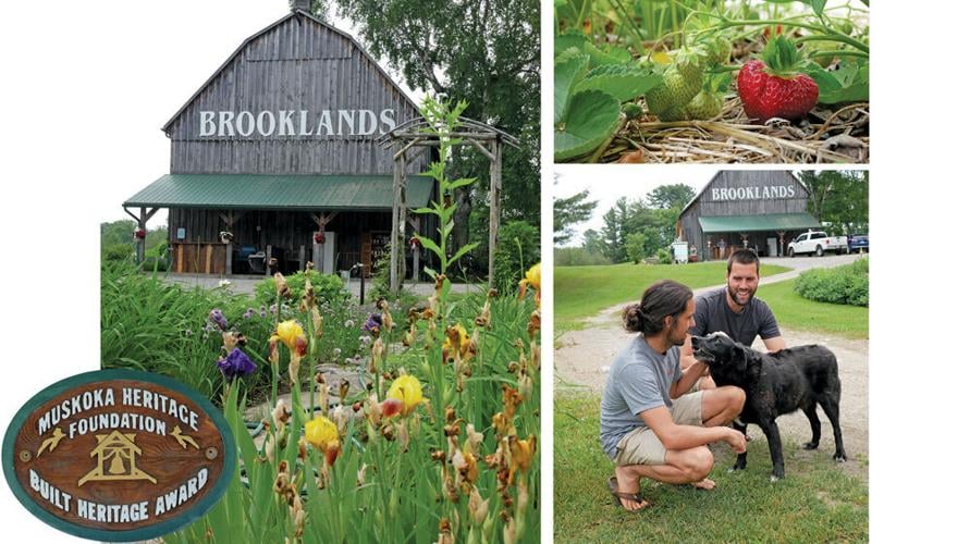 Rural renaissance — 5 Muskoka farms growing naturally delicious foods