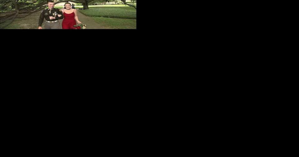 century tree proposal