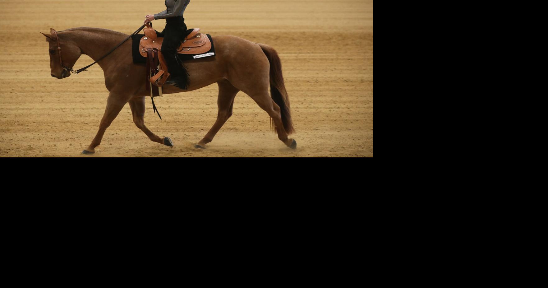 Aggie equestrian team advances to national championship match ...