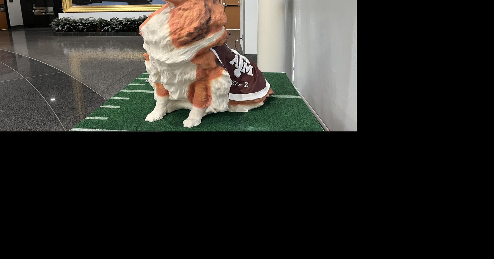3D Reveille on display around Aggieland | Texas A&M News ...