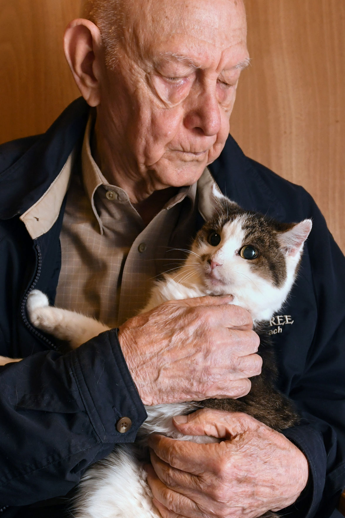 CC, world’s first cloned cat, turns 18 years old | Texas A&M News ...