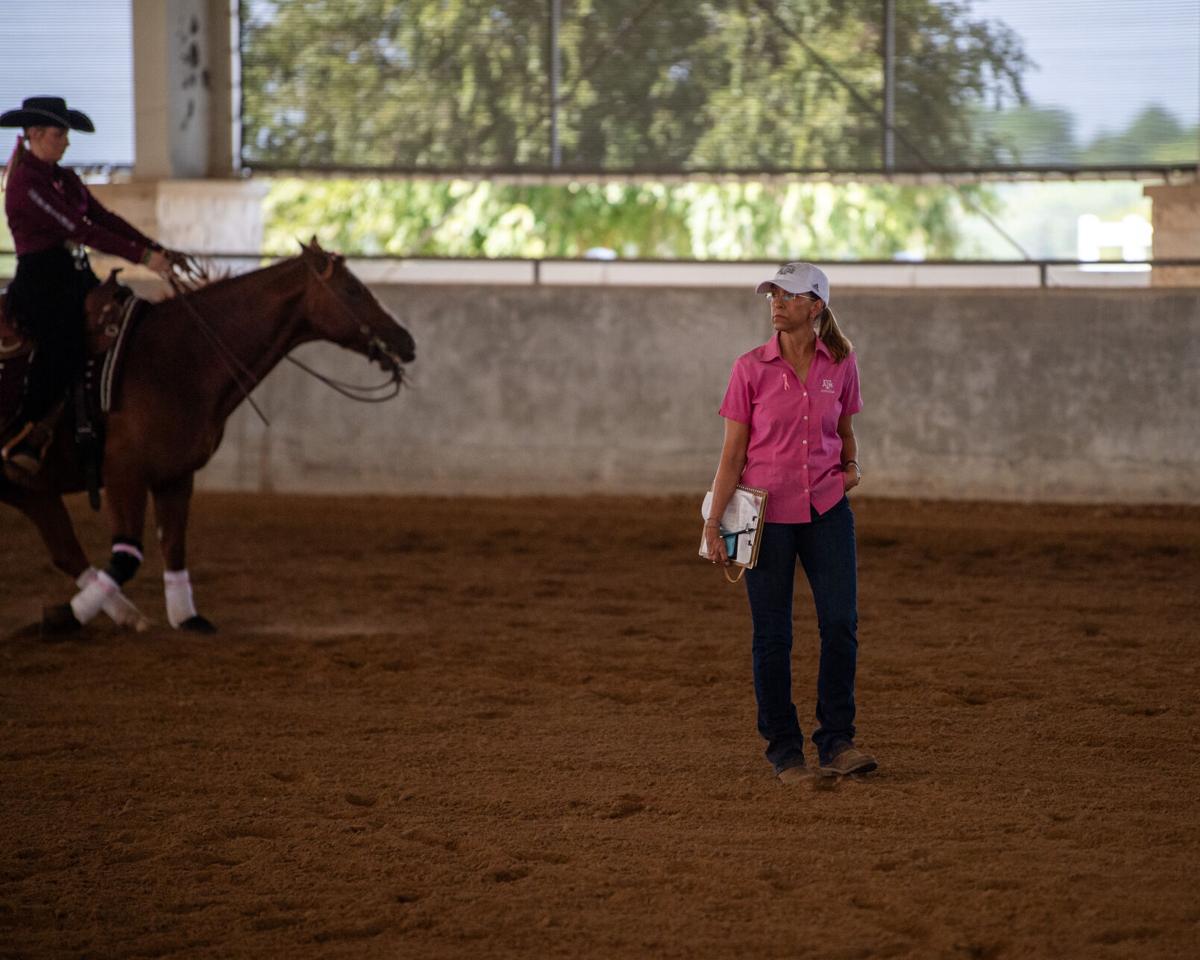 No. 3 Texas A&M equestrian team hosting No. 8 South Carolina ...