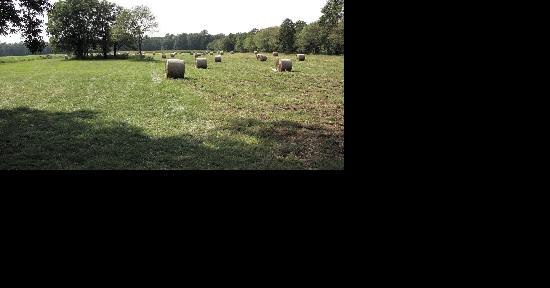 Vanishing farmland in NC helped by $8.8M in grants | News ...
