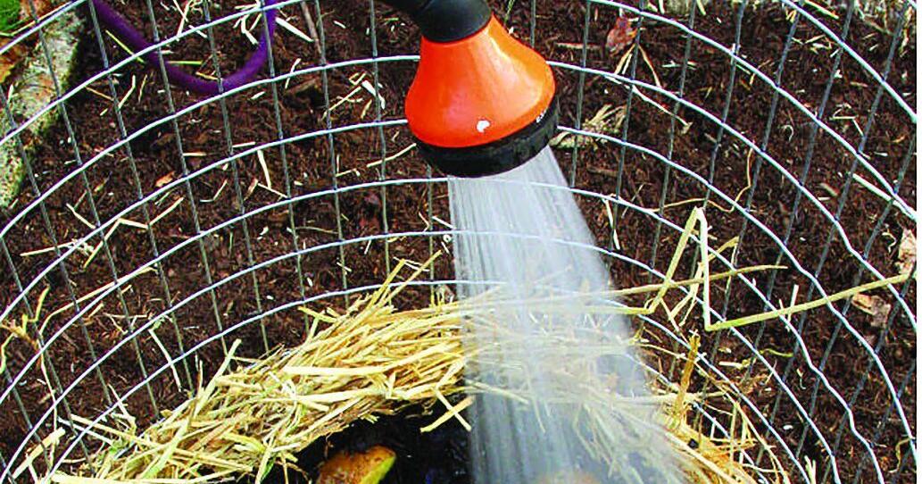Building a potato tower | News | mydailyrecord.com