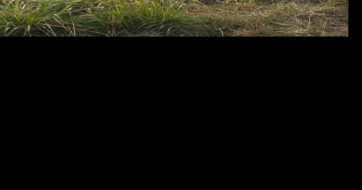 None injured in I-95 rollover | News | mydailyrecord.com