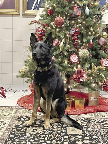 Erwin newest officer hits the ground running | News | mydailyrecord.com