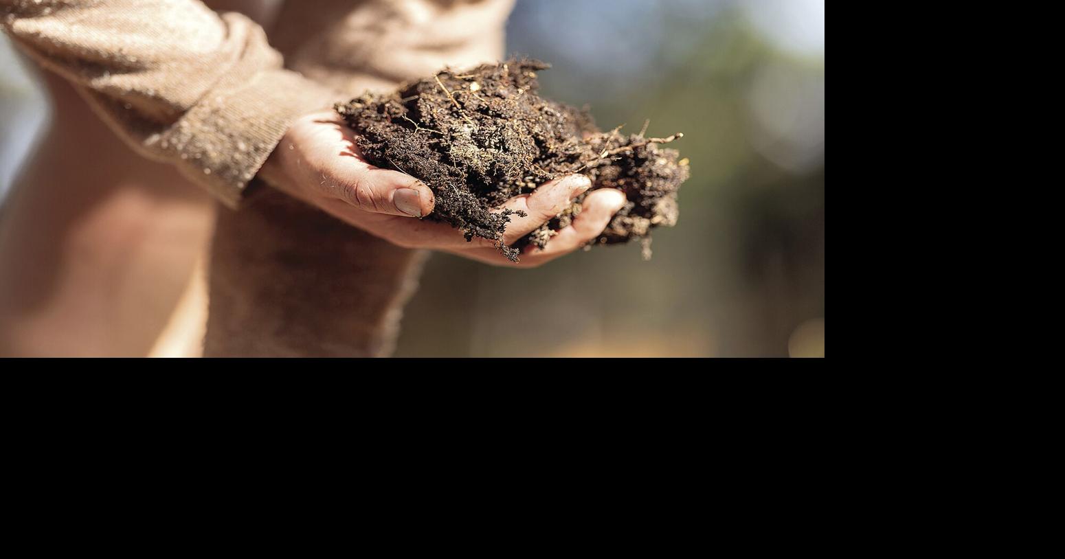 How to collect soil samples and avoid fees | News | mydailyrecord.com