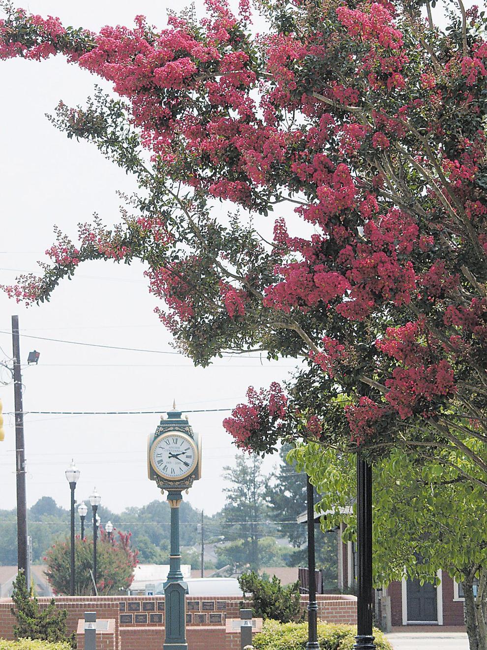 Angier seeks USDA funding for new police HQ | News | mydailyrecord.com