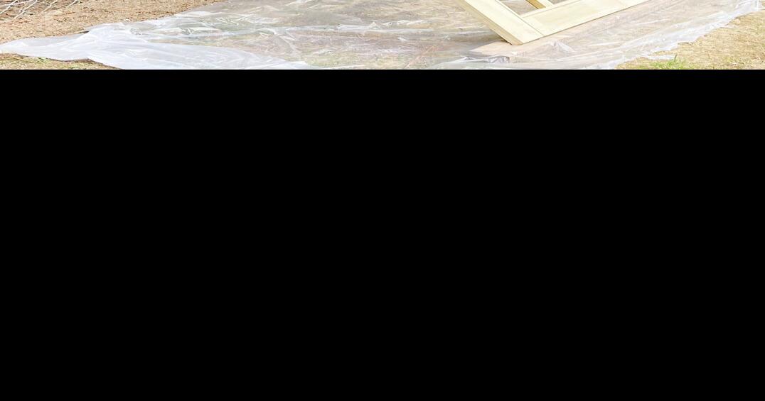 Scout helps chickens to get Eagle | Local News | mydailyrecord.com