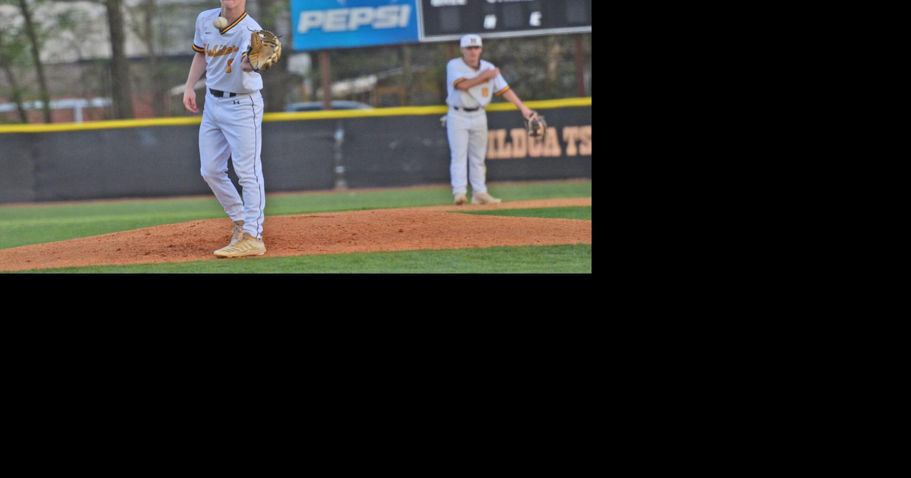Which local baseball teams are postseason bound? | High School ...