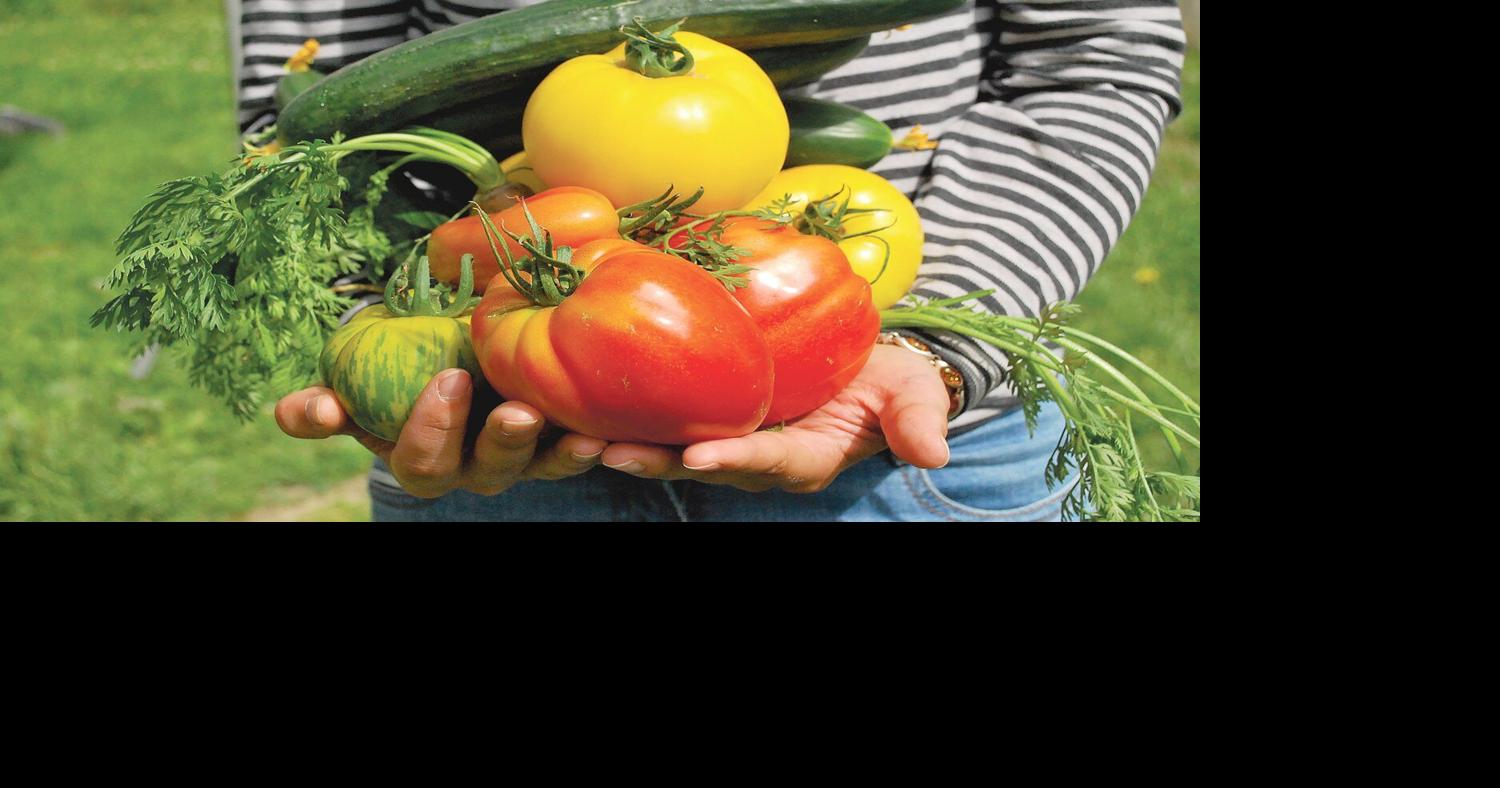 Horticulture programs available in Harnett County | News ...