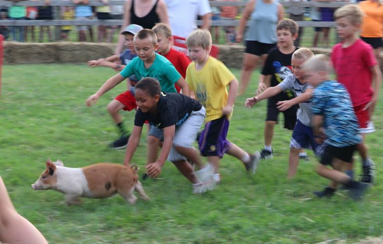Flying pigs meet squealing kids | News | myeasternshoremd.com