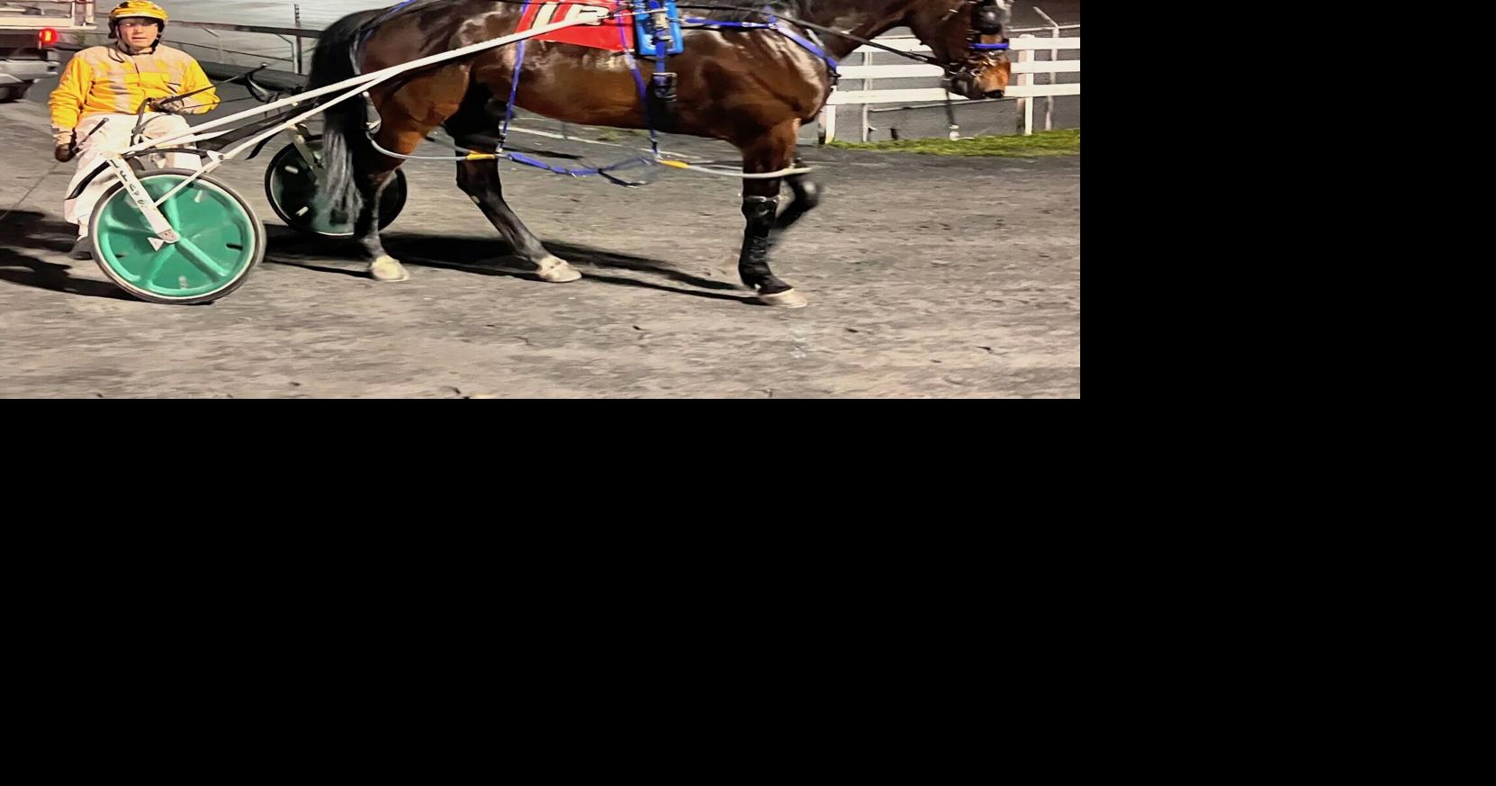 Rosecroft honors top driver, trainer, pacers of winter-spring harness ...