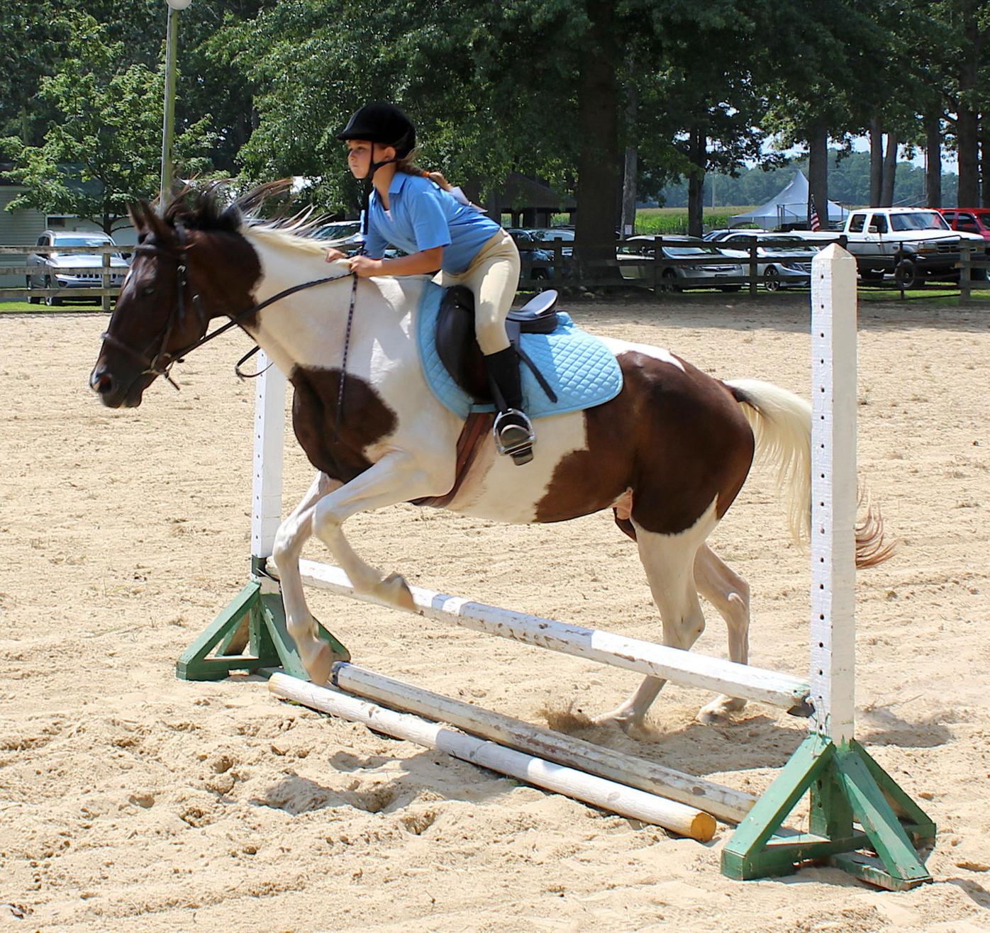 New equestrians rise at QA Youth English Horse Show | Youth ...