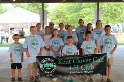 Clover Calf 4-H Club to receive centenary salute at Kent County Fair ...