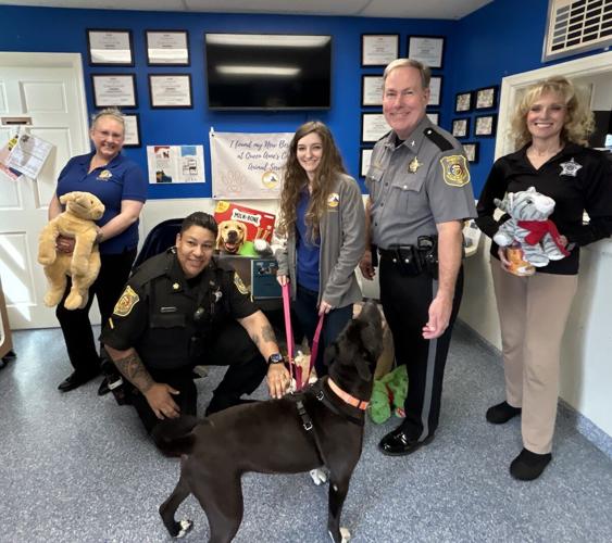 Sheriff's Office visits QACAS for National Shelter Pet Day | News ...