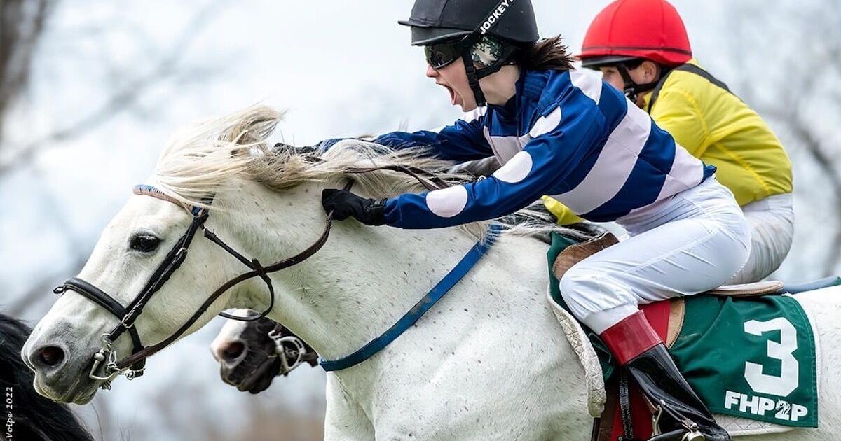 History and equestrian sport comes to life at Mount Harmon Plantation ...