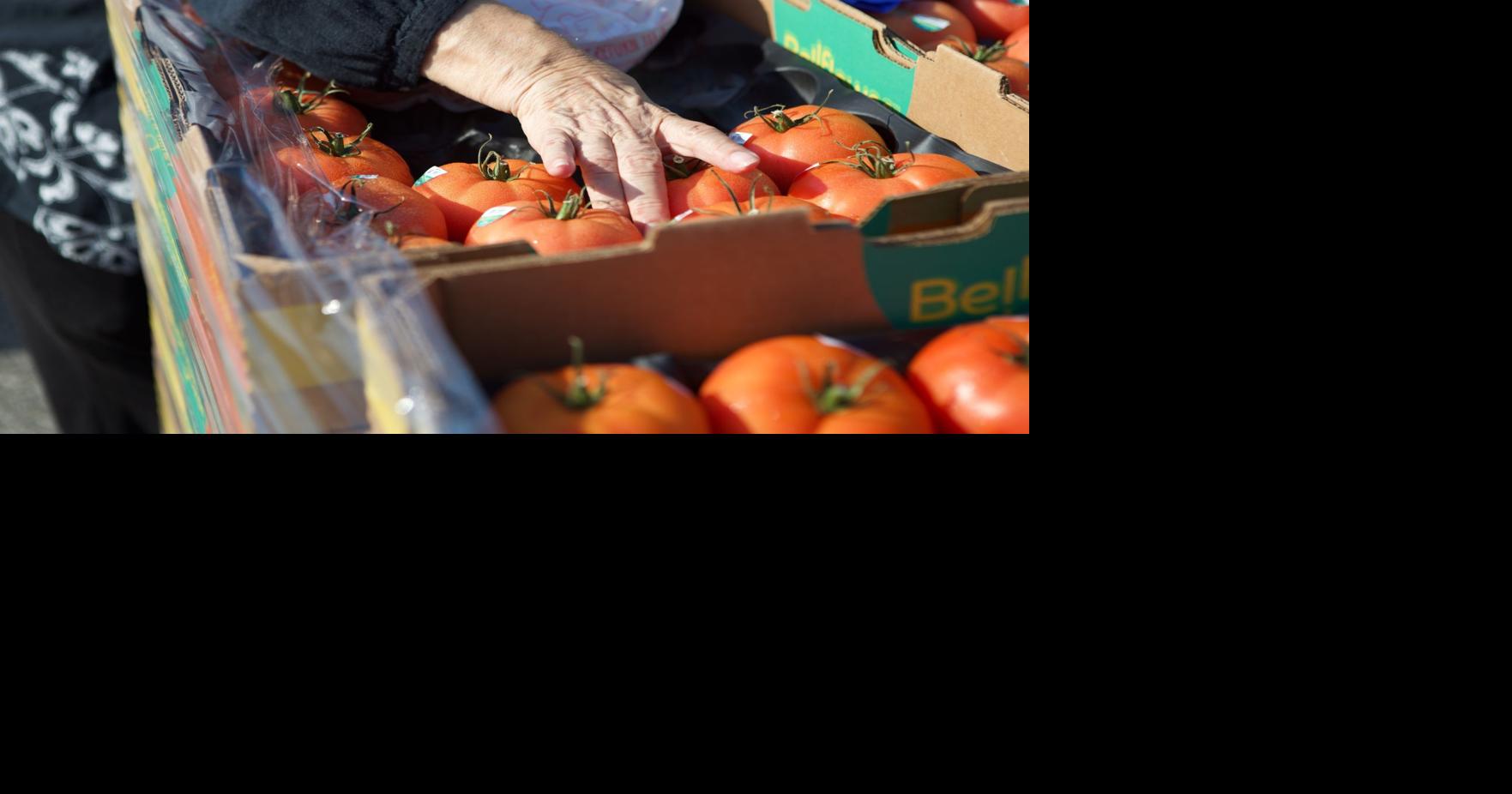 Upper Shore Agriculture Microgrant Program awarded County Innovation ...